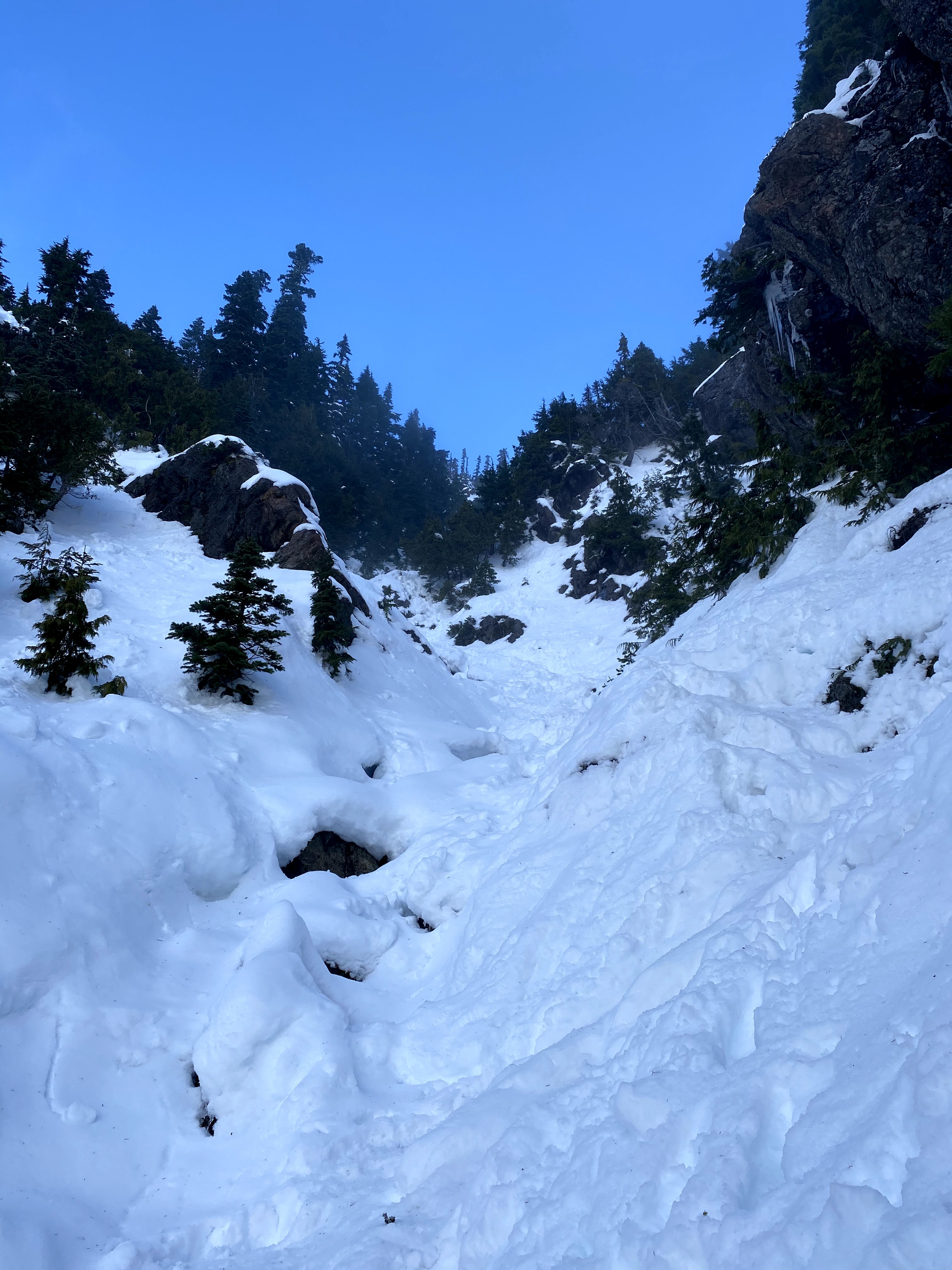 Mount Ellinor Winter Summit 11-28-2020 - Hiking with Hadland