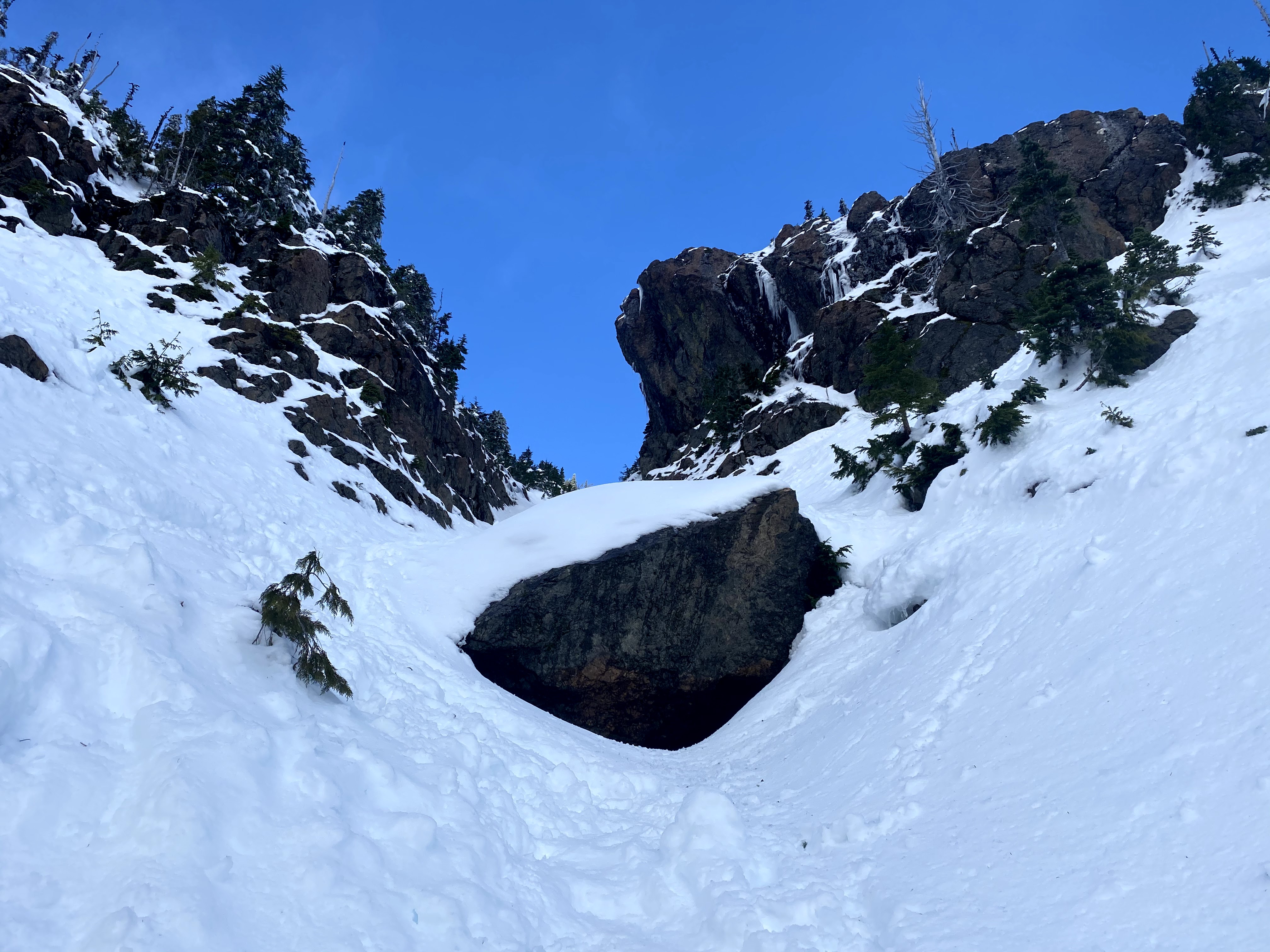 Mount Ellinor Winter Summit 11-28-2020 - Hiking with Hadland